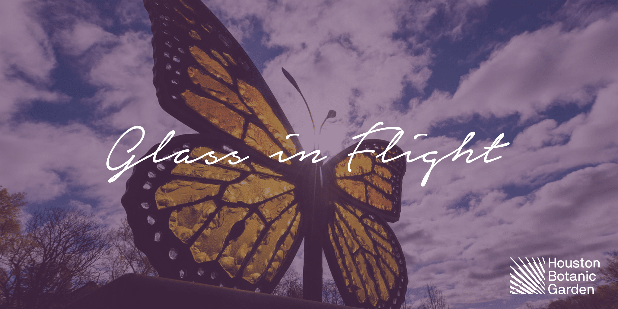 Glass in Flight - Houston Botanic Garden