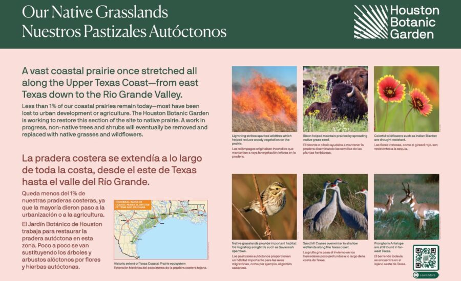 Native Grasslands - Houston Botanic Garden