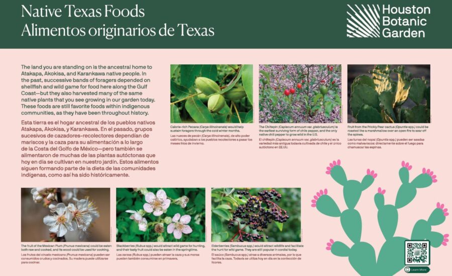 Native Texas Foods - Houston Botanic Garden