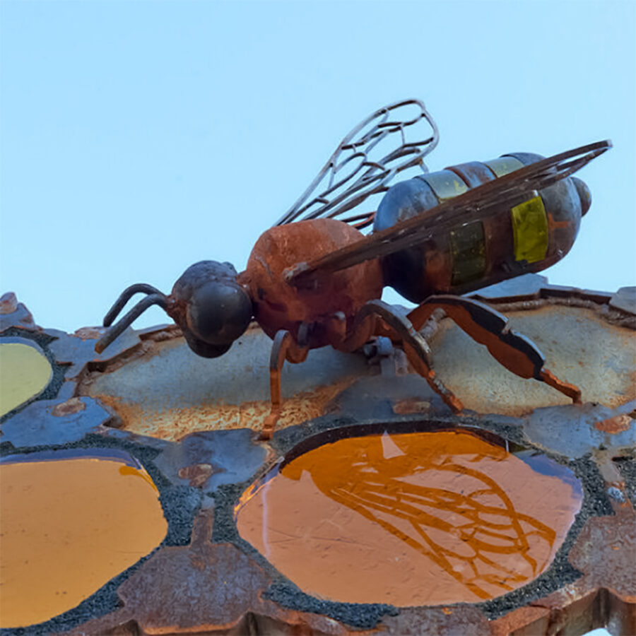 Glass in Flight - Houston Botanic Garden