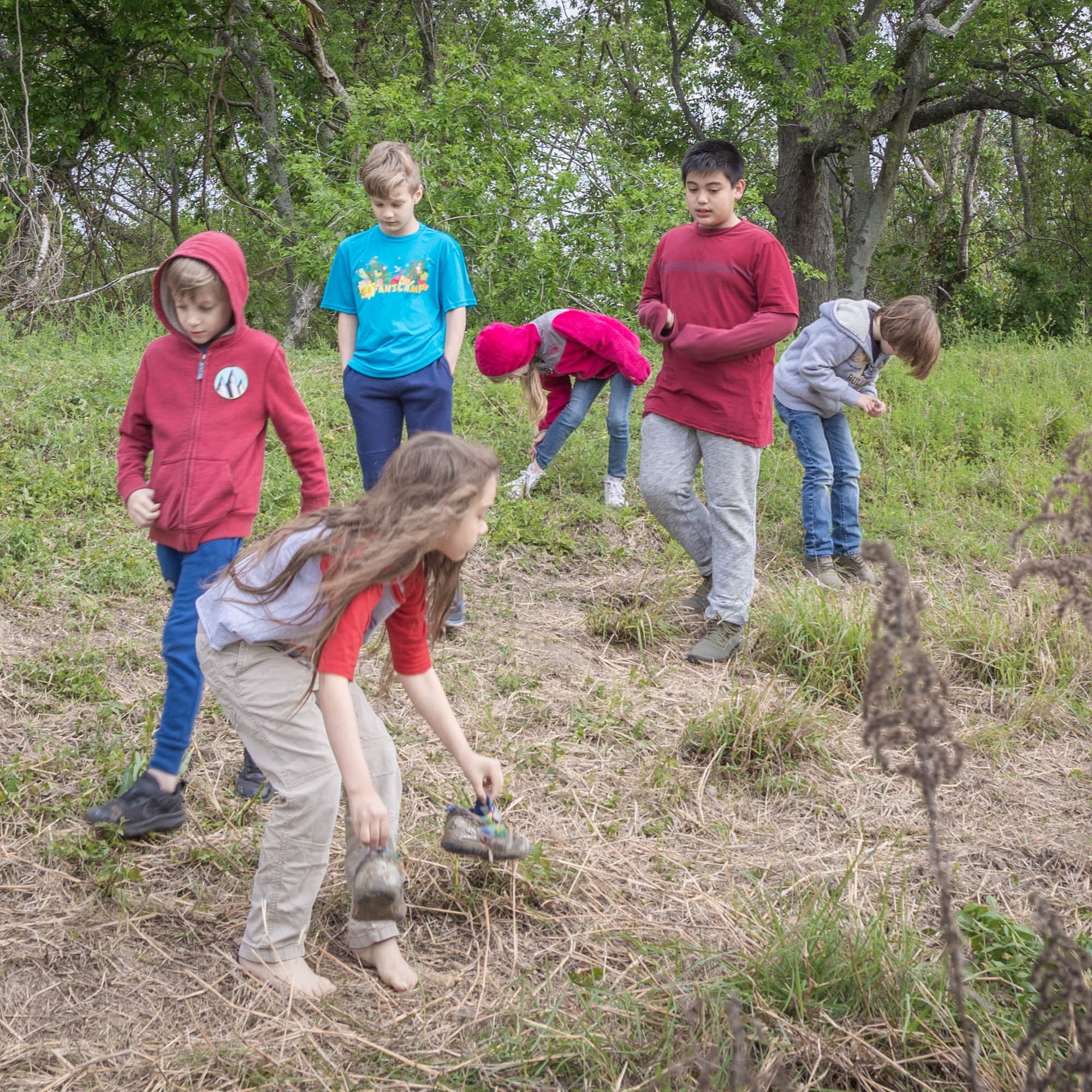 Winter BotaniCamp - Houston Botanic Garden