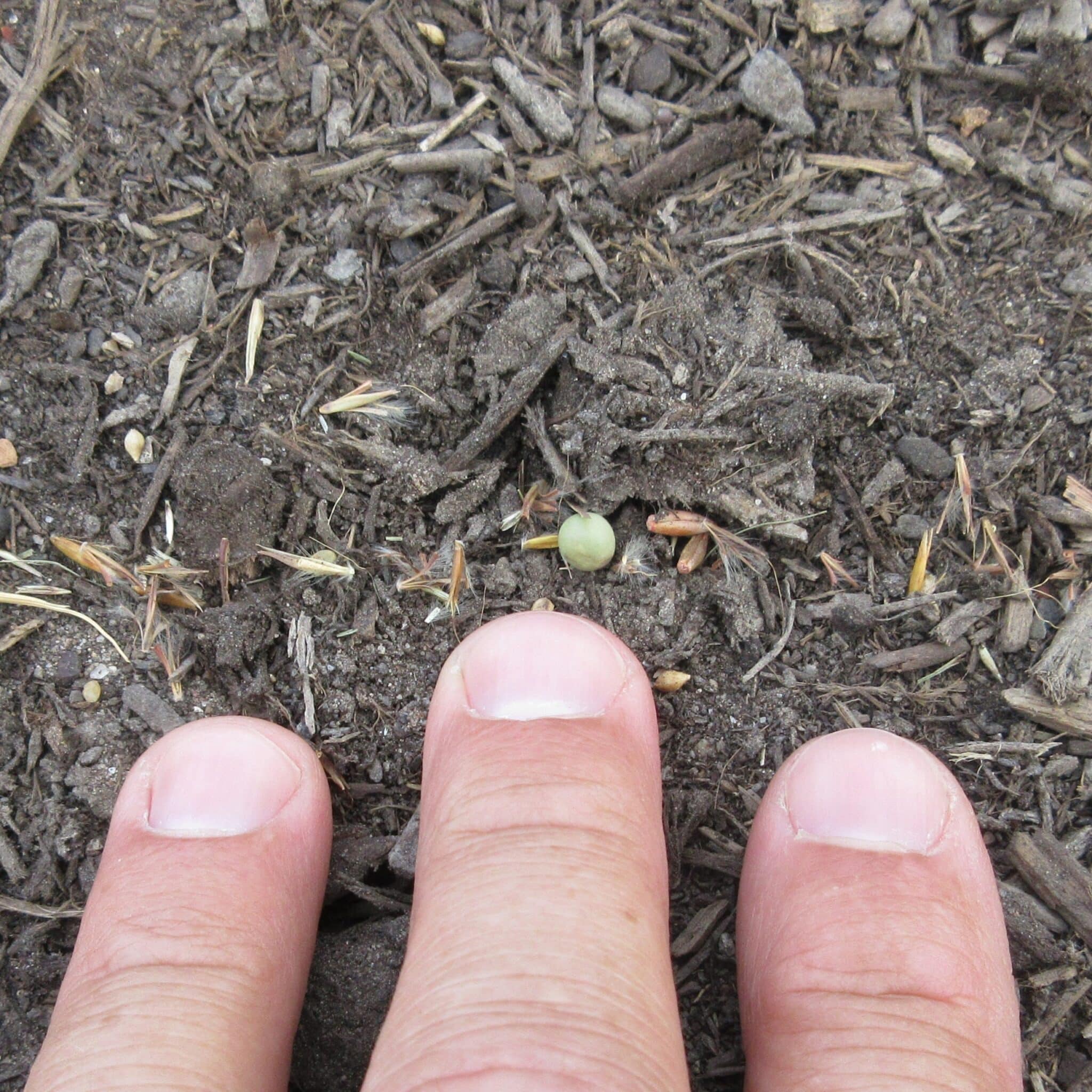 Home - Houston Botanic Garden