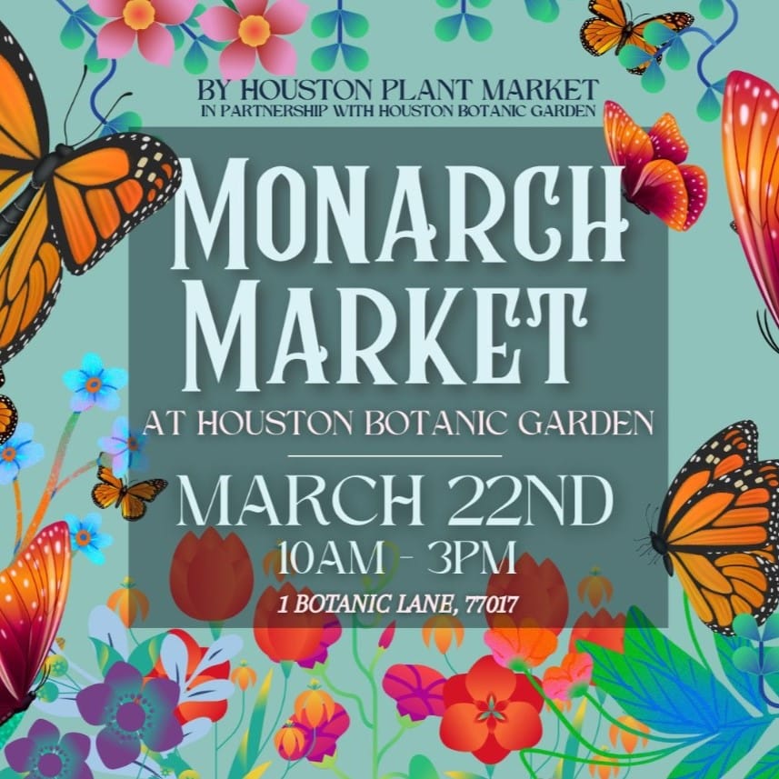 Radiant Romance - Houston Botanic Garden