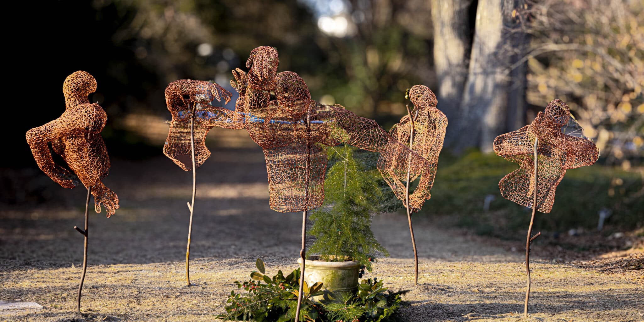 Rich Soil - Houston Botanic Garden