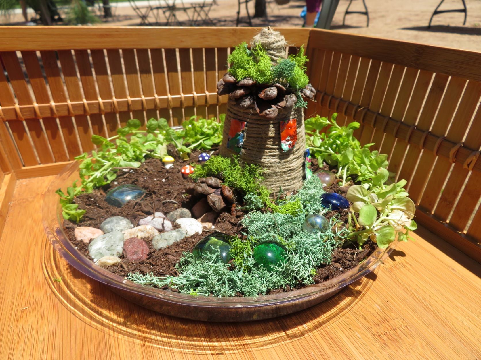 Create a Secret Garden | Houston Botanic Garden