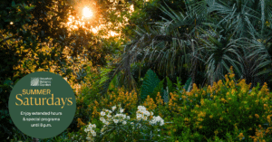 Summer Saturdays - Houston Botanic Garden
